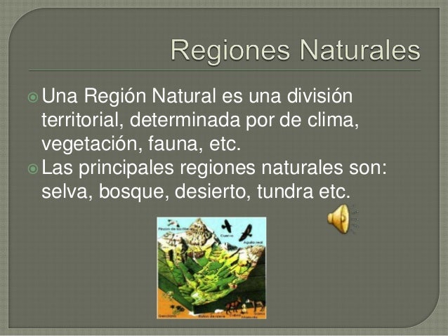 Tipos De Regiones Regiones Naturales