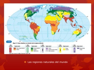 Regiones naturales | PPTX