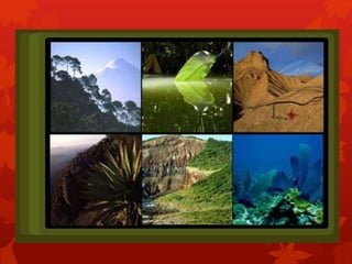 Regiones naturales | PPTX
