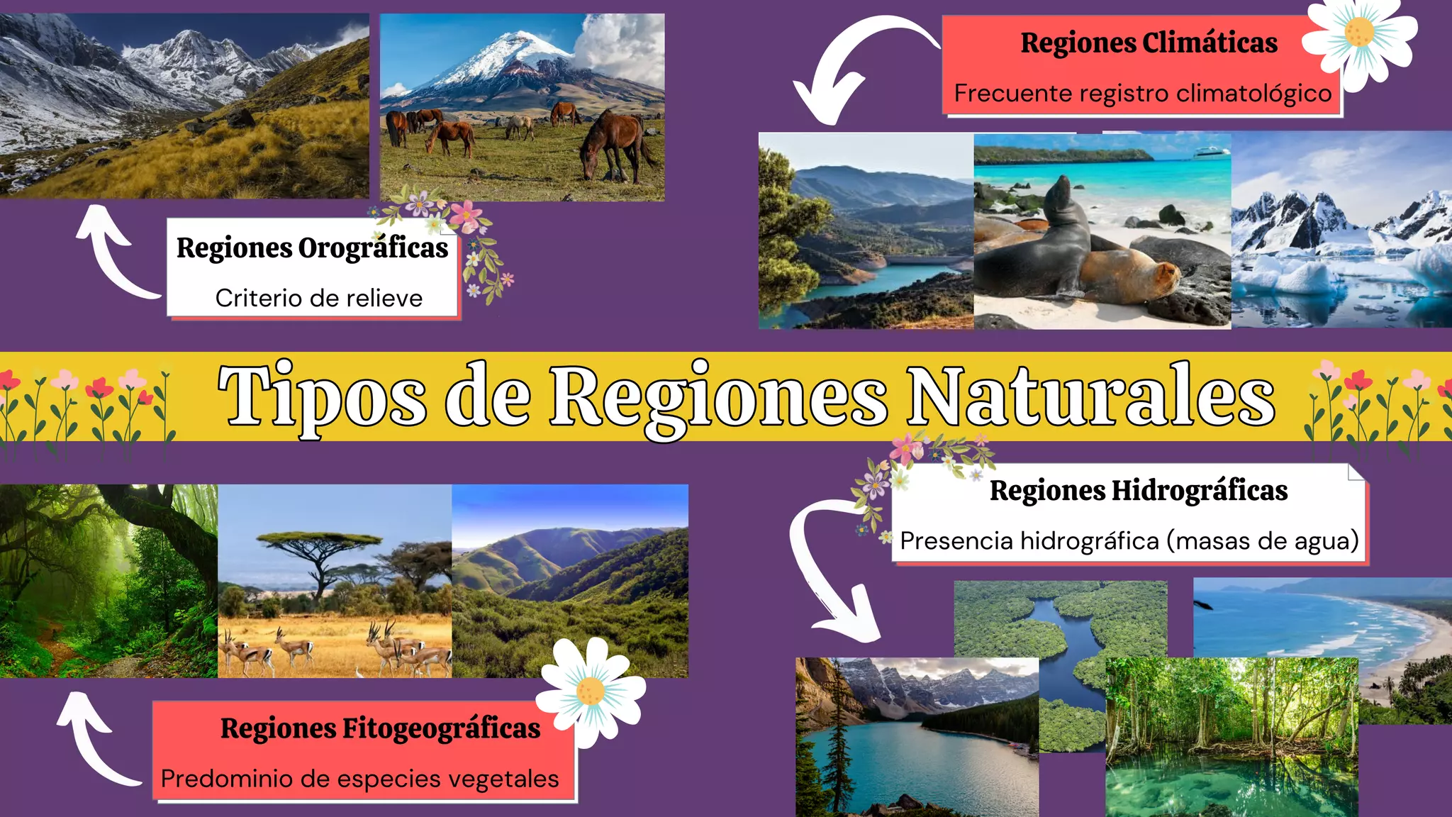 Tipos De Regiones Naturales – JXYLQ