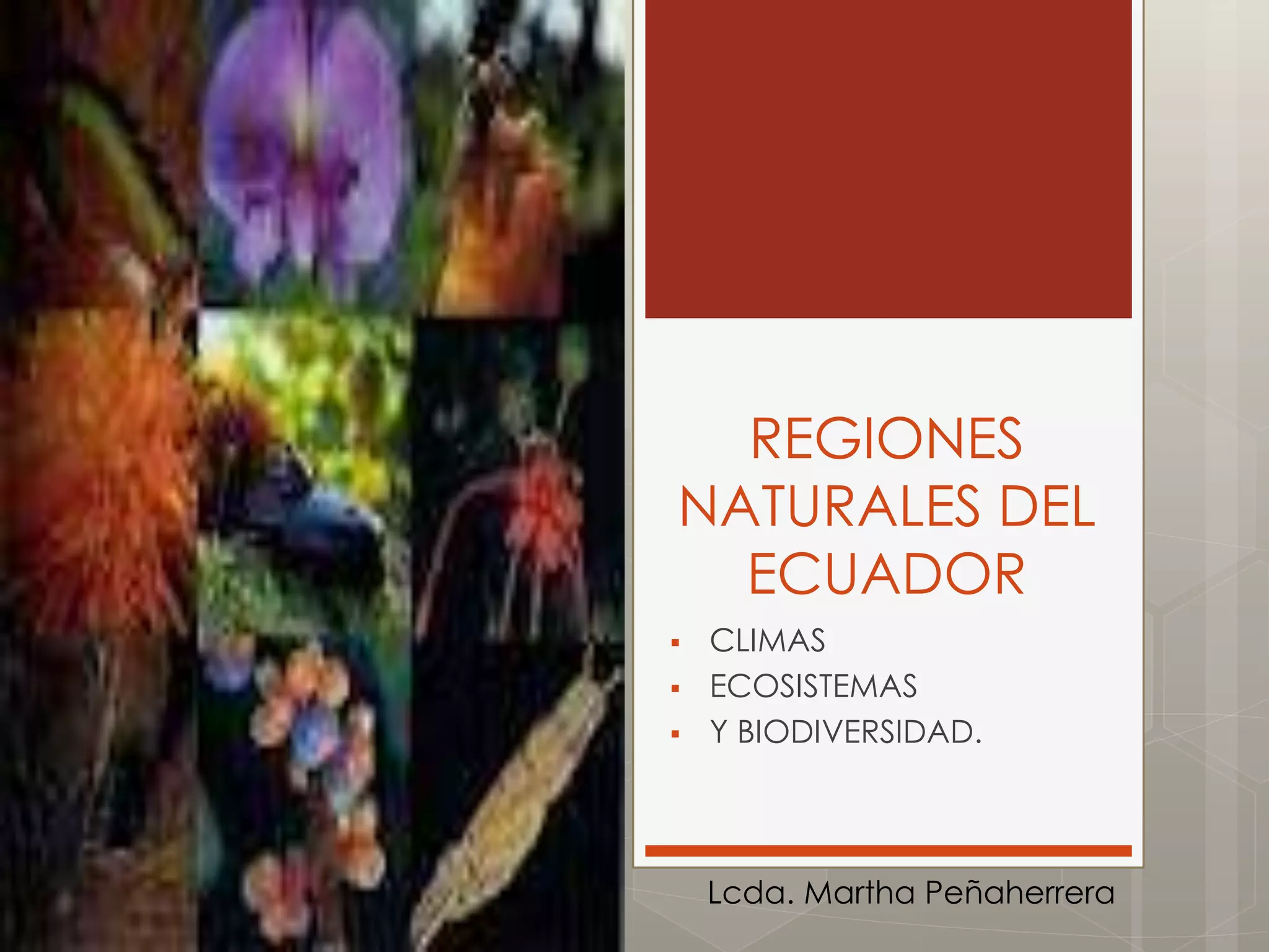 Regiones naturales del ecuador | PPT