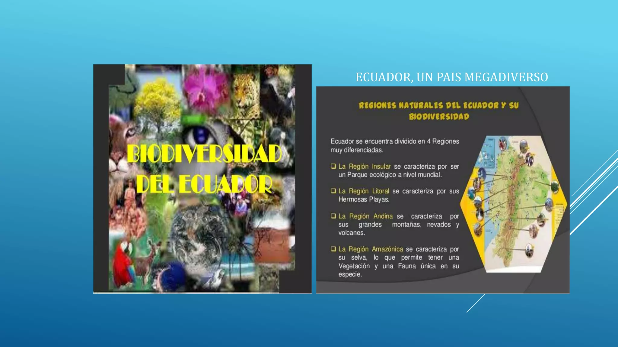 Regiones naturales del Ecuador. | PPT