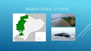 Regiones naturales del Ecuador. | PPTX