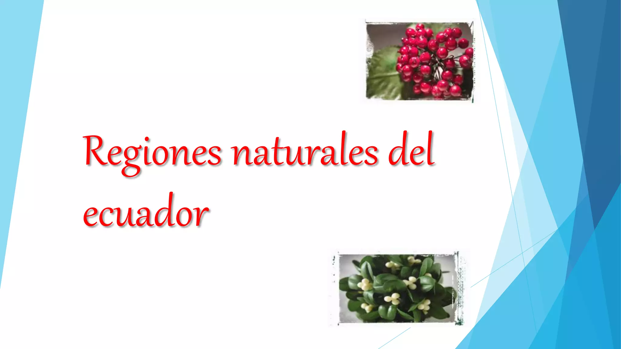 Regiones naturales del ecuador | PPTX | South America Travel | Travel ...