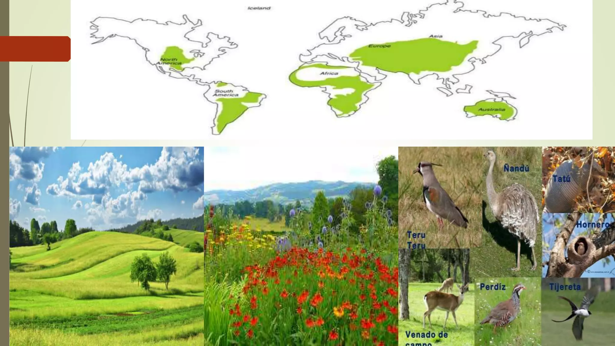 Regiones naturales del mundo.pptx