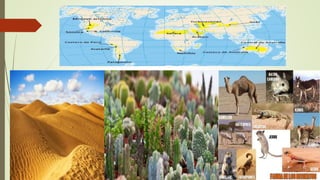 Regiones naturales del mundo.pptx