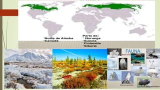 Regiones naturales del mundo.pptx