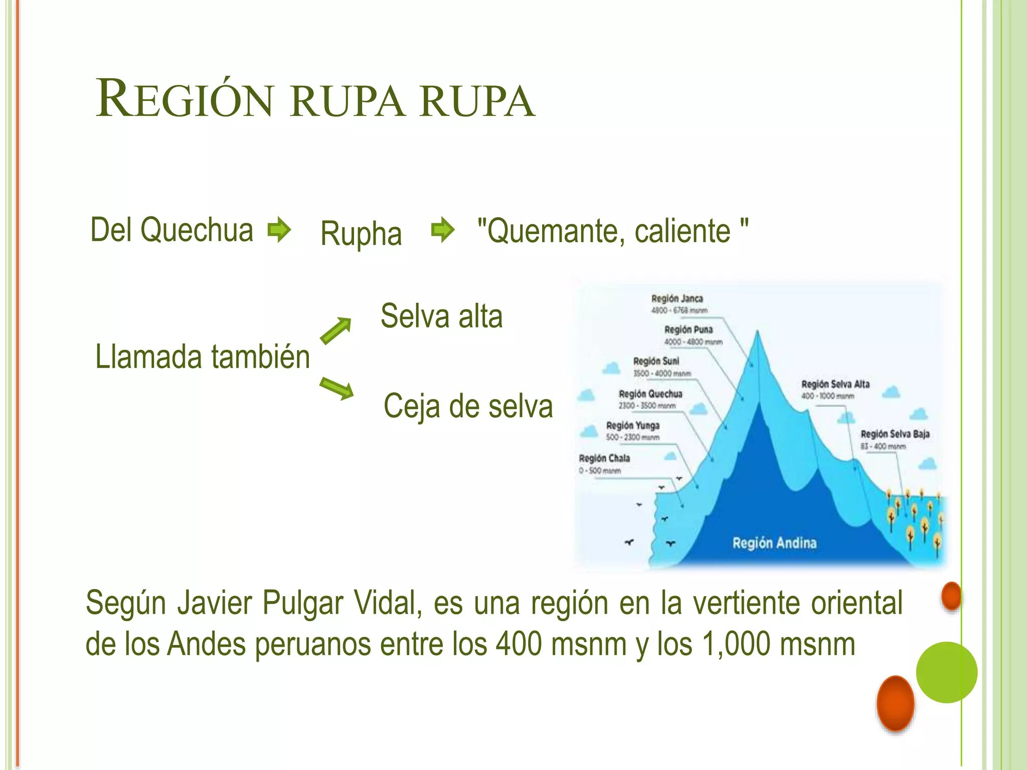 Regiones Naturales del Perú- rupa rupa.pptx