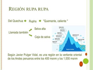 Regiones Naturales del Perú- rupa rupa.pptx