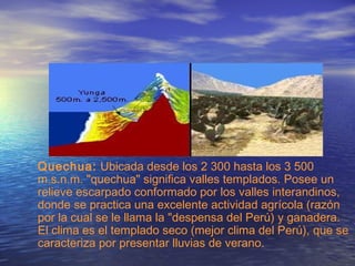 Regiones naturales del peru | PPT