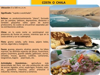 Regiones Naturales del peru | PPTX