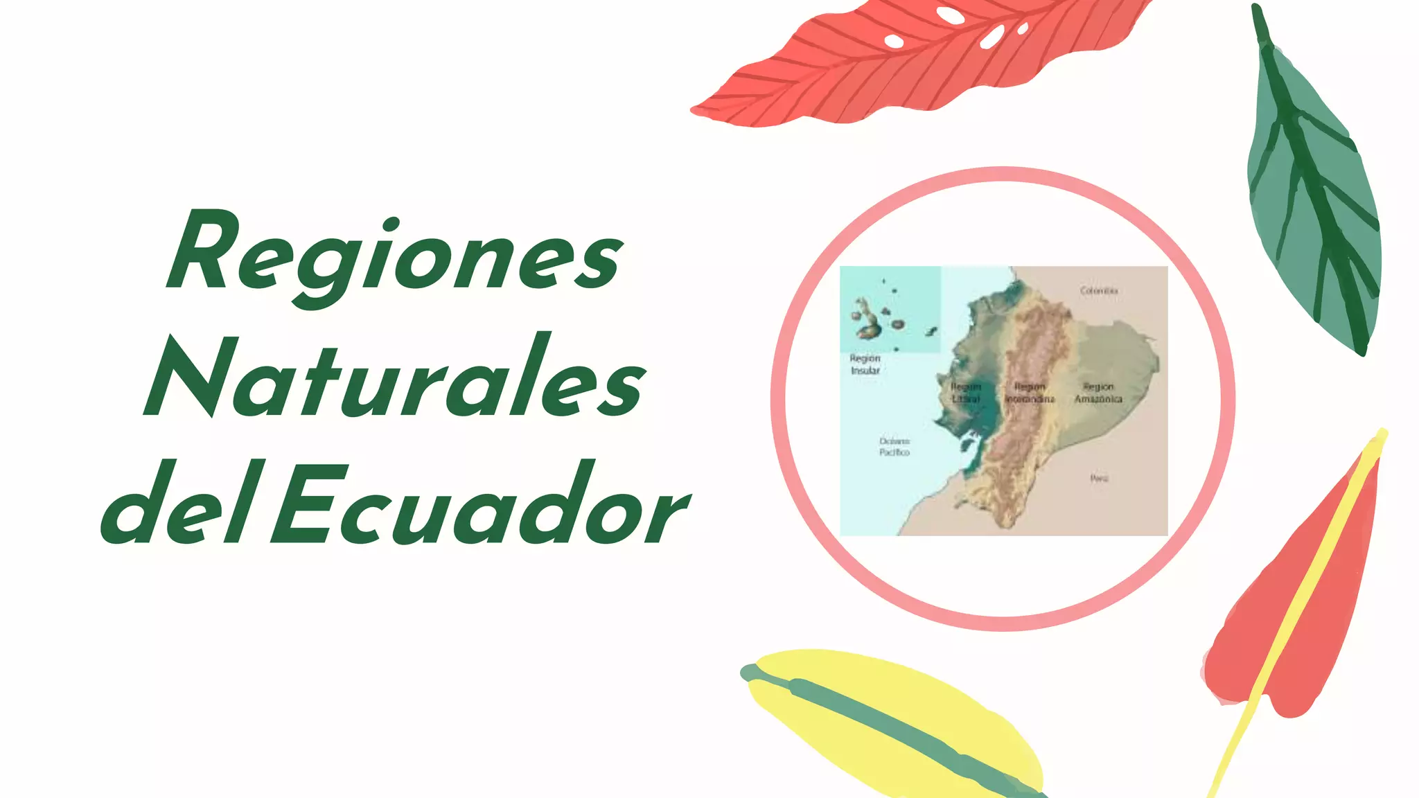 Regiones naturales ecuador | PPTX