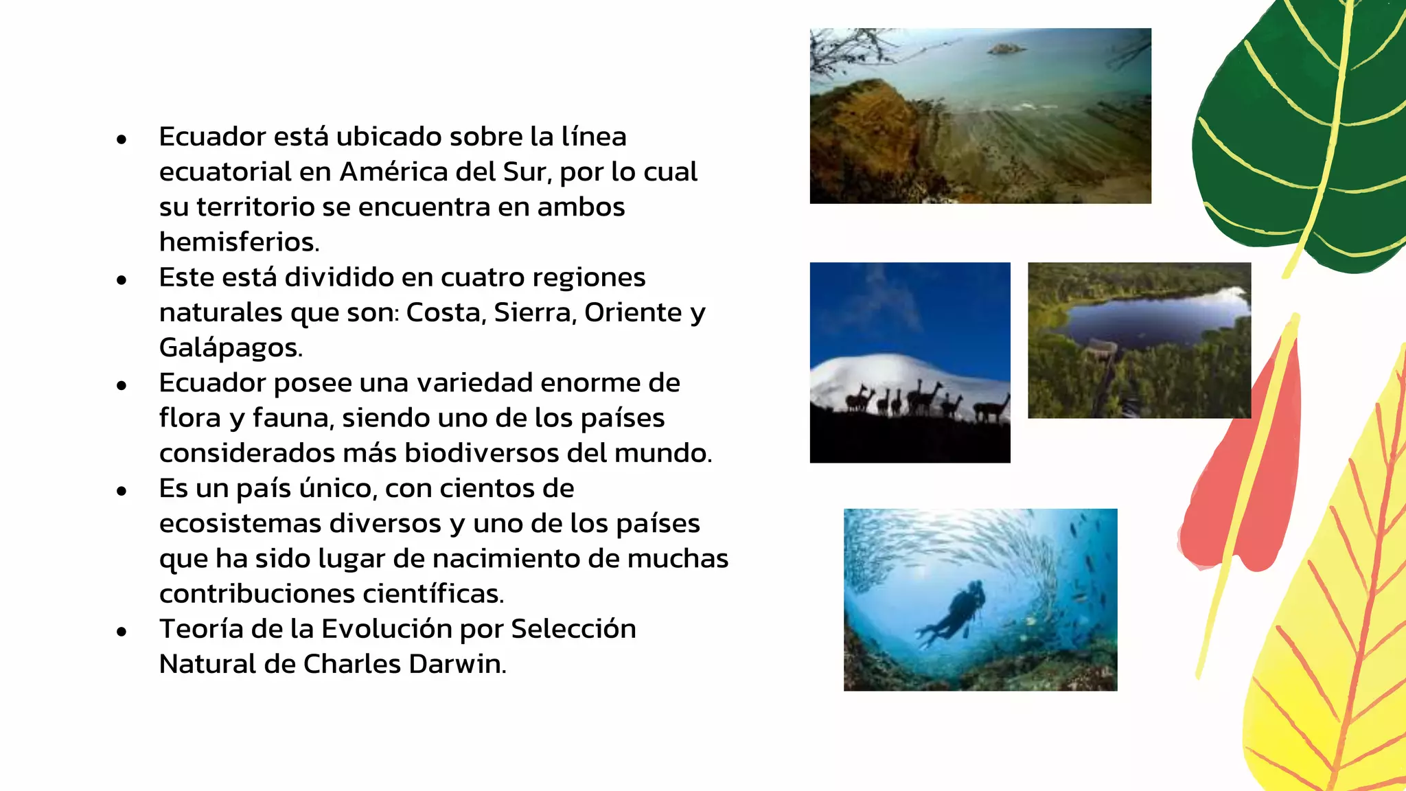 Regiones naturales ecuador | PPTX
