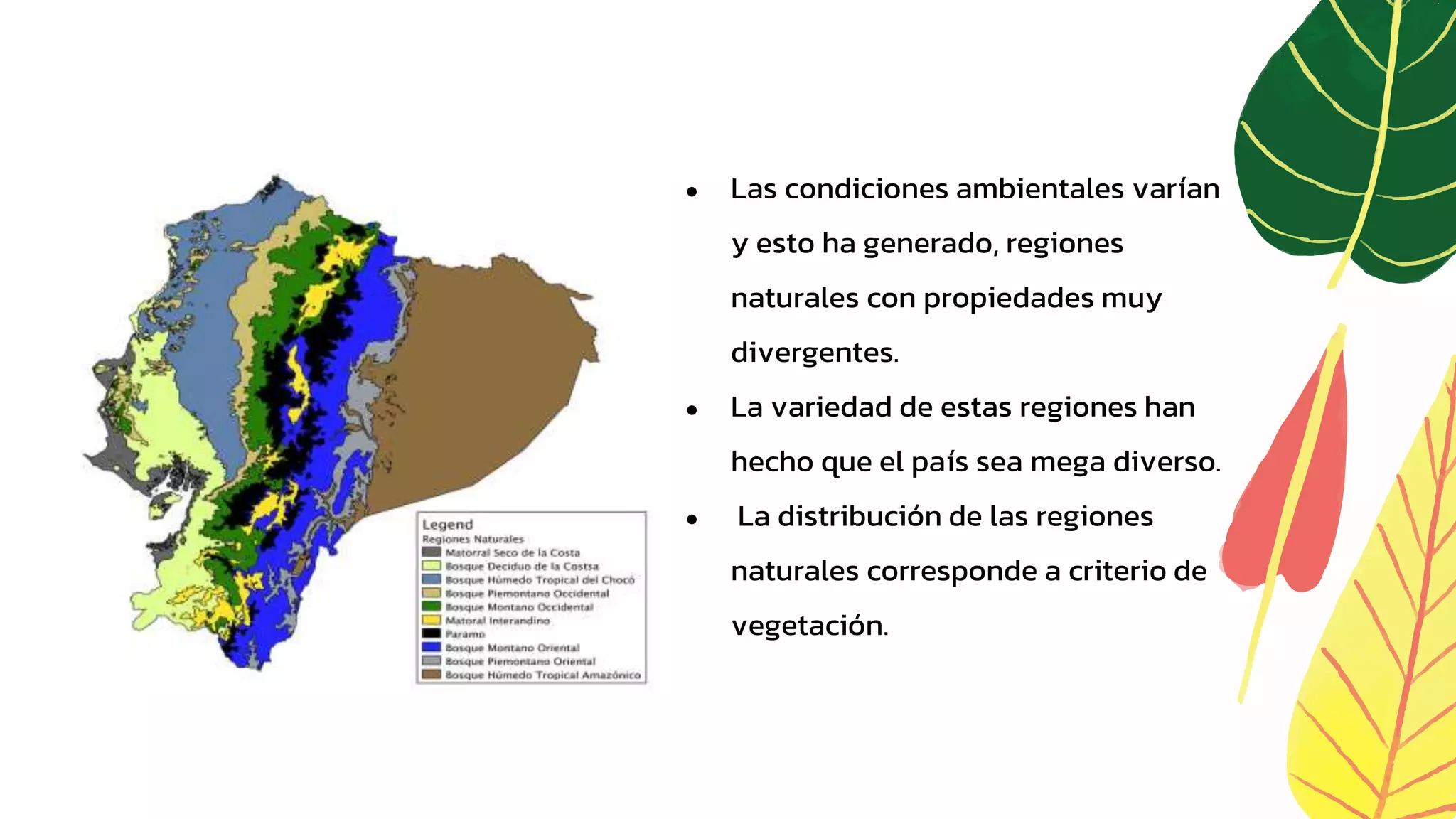 Regiones naturales ecuador | PPTX
