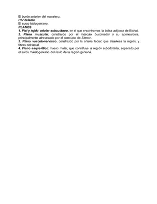 Regiones superficiales | DOCX