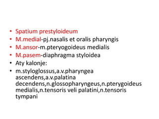 Regiones topografica | PPT