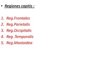 Regiones topografica | PPTX