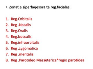 Regiones topografica | PPTX