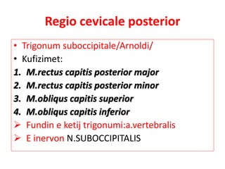 Regiones topografica | PPT