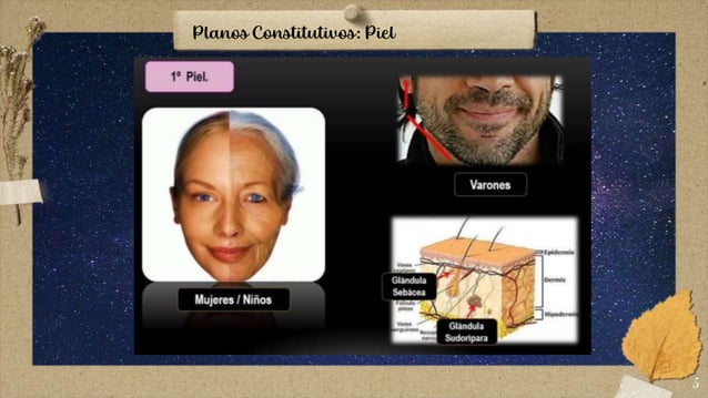 region geniana.pptx | Blood Disorders | Diseases and Conditions