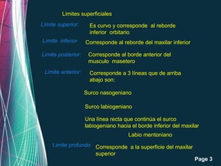 Region geniana tema 2 | PPTX