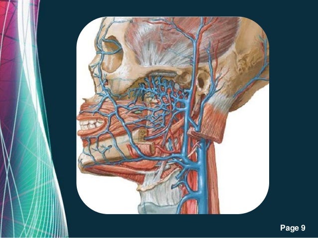 Region geniana tema 2