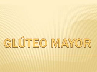 Region glutea | PPTX