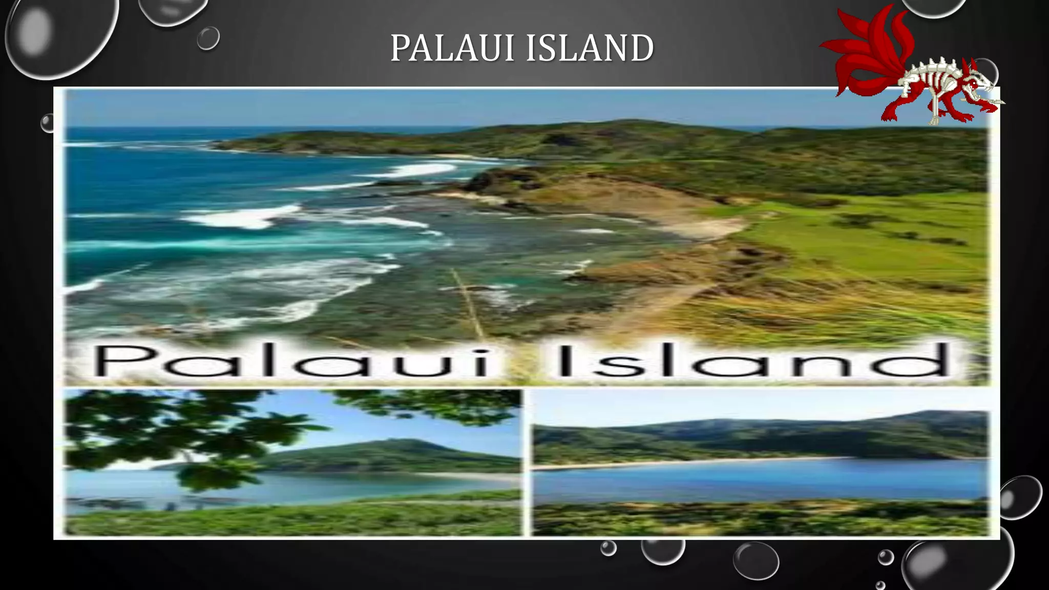 Region ii (2) | PPTX