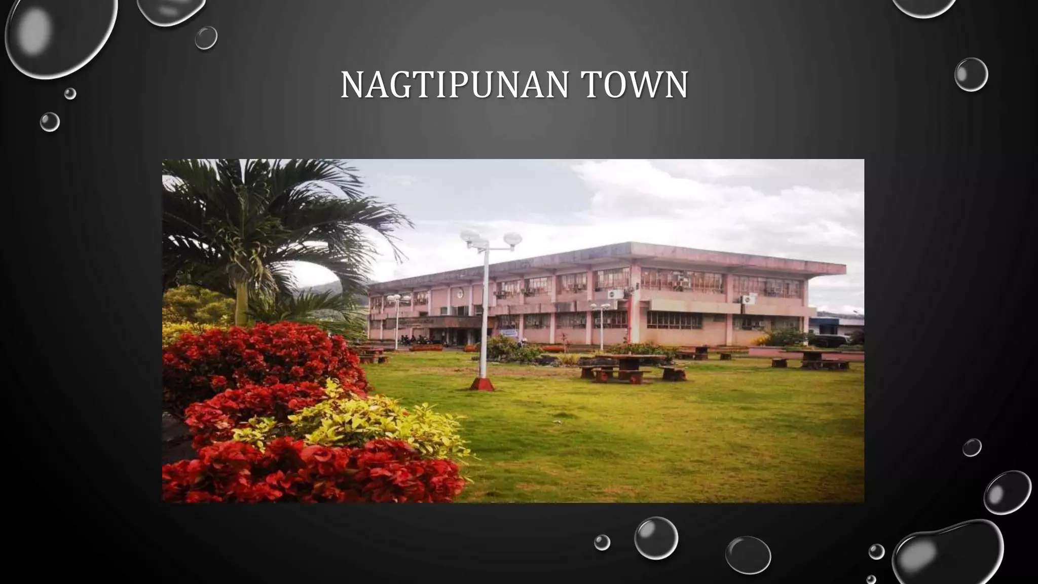 Region ii (2) | PPTX