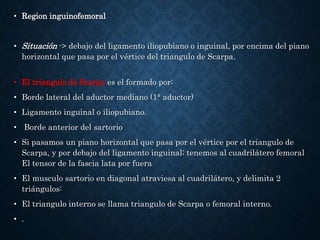Region inginocrural y muslo | PPTX
