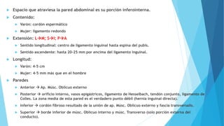 Anatomía de región inguinal | PPTX