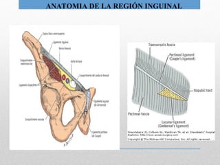 REGION INGUINOCRURAL ANATOMIA FISIOLOGIA Y HERNIOLAP.ppt