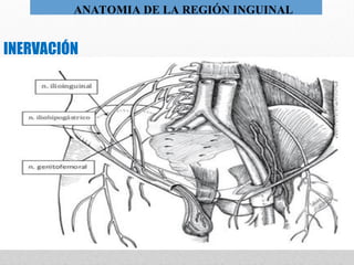 REGION INGUINOCRURAL ANATOMIA FISIOLOGIA Y HERNIOLAP.ppt