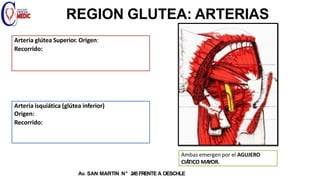 REGION INGUINOCRURAL- GLUTEO - NERVIO CIATICA | PPTX