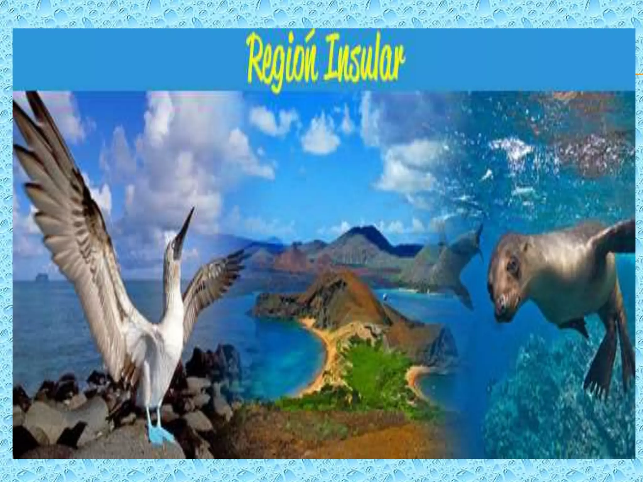 Región Insular | PPT