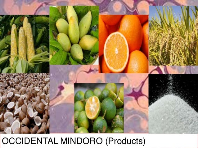 Region IV-B (MIMAROPA Region)