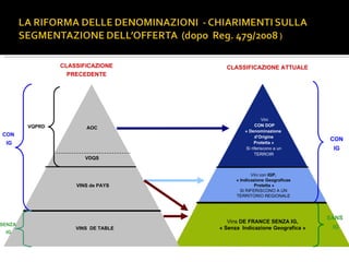 Introduzione al vino francese | PPT | Alcoholic Beverages | Food & Drink
