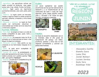 REGION JUNIN.docx