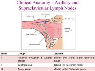 Axillary Lymph Nodes Levels