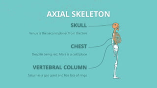 REGION MASETERINA ANATOMIA HUMANA DE RUVIER | PPTX