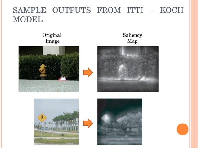 Region Of Interest Extraction | PPT