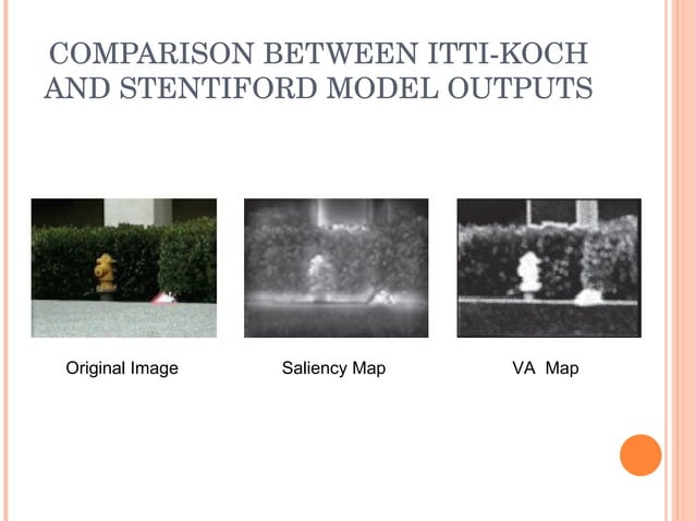 Region Of Interest Extraction | PPT