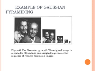 Region Of Interest Extraction | PPT