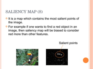 Region Of Interest Extraction | PPT