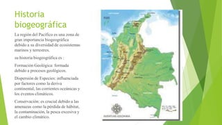 información de region pacifica colombiana.pptx