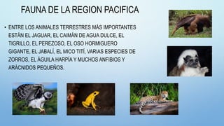REGION PACIFICA COLOMBIA [Autoguardado].pptx