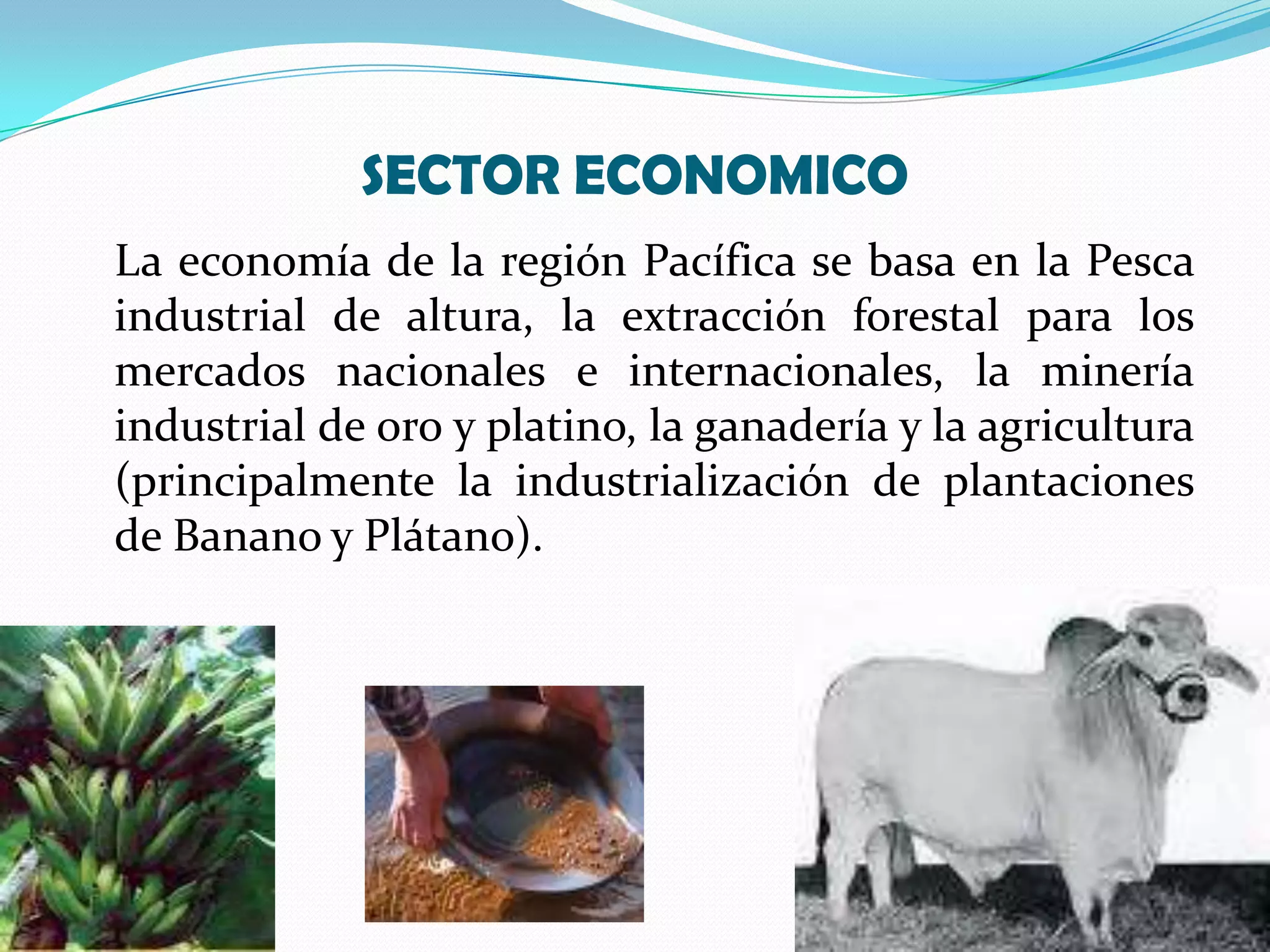 Region pacifica colombiana | PPTX