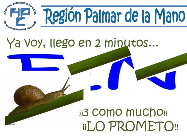 Anatomia Region Palmar | PPT