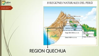 REGION QUECHUA.pptx