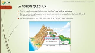 REGION QUECHUA.pptx